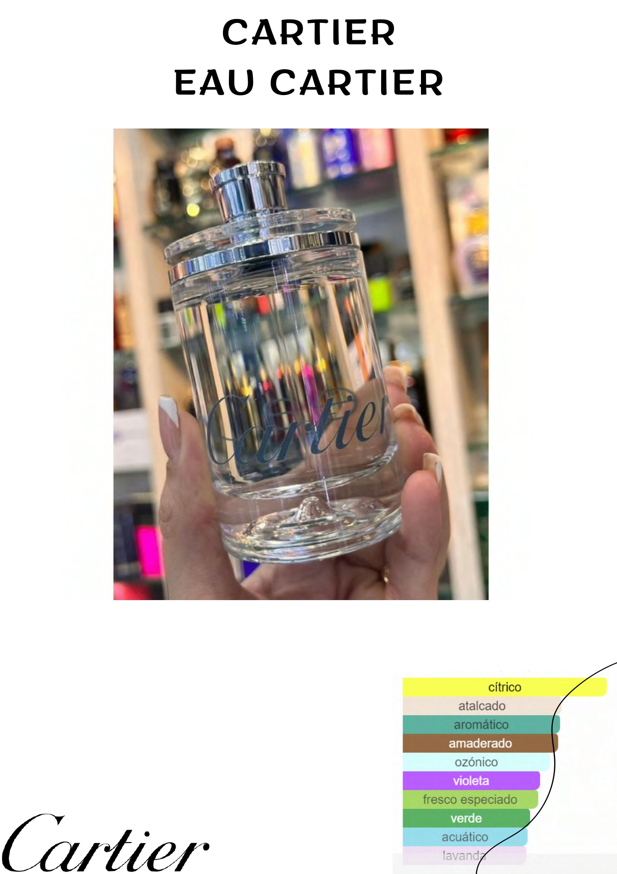 Cartier Eau de Cartier: Frescura y Elegancia en Cada Rocoo - Robin store